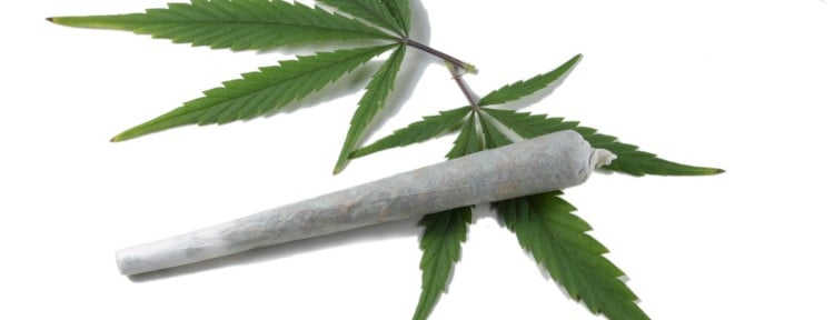 La Cannabis Es La Droga Ilegal Más Consumida Del Mundo