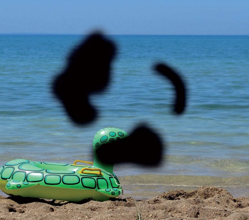 ¿Qué son las moscas volantes que aparecen ocasionalmente en nuestro ...