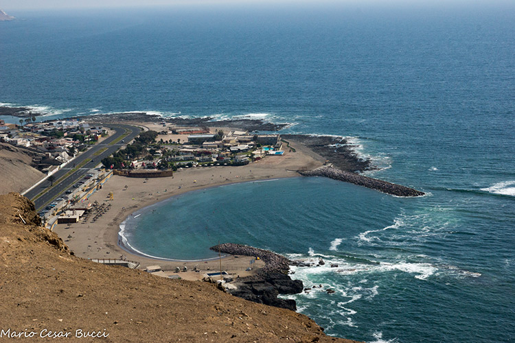 14 caletas que se la juegan por ser las mejores de Chile