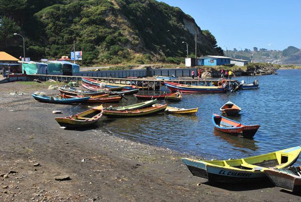 14 caletas que se la juegan por ser las mejores de Chile