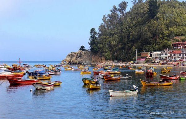 14 caletas que se la juegan por ser las mejores de Chile