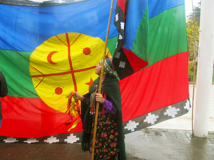Mapuches izaron su bandera en acto simbólico contra el “racismo” del ...