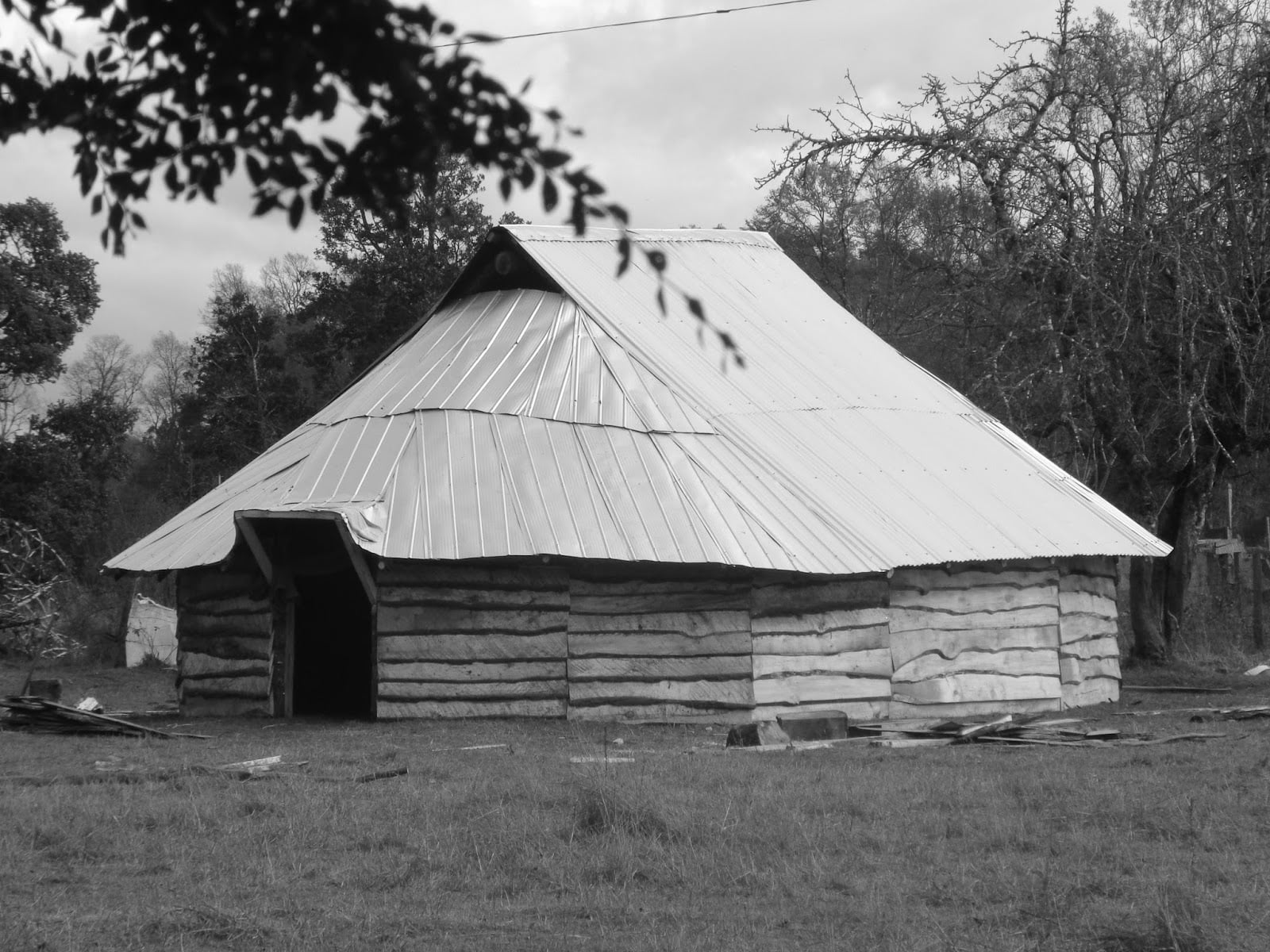 Mapuche williche avanzan en la defensa del Ngen Kintuante y el Pilmaiken
