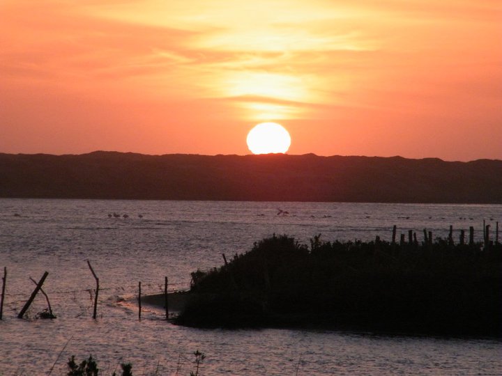 Conservación: El Humedal Huentelauquén es oficializado como el 13 ...