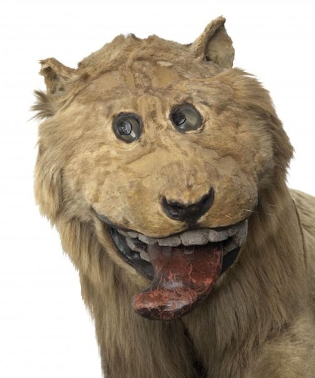 El taxidermista del siglo XVIII al que le encargaron disecar un león y ...