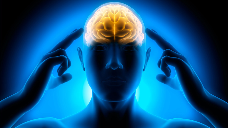 El control de la mente sobre el cuerpo: 10 impresionantes ejemplos