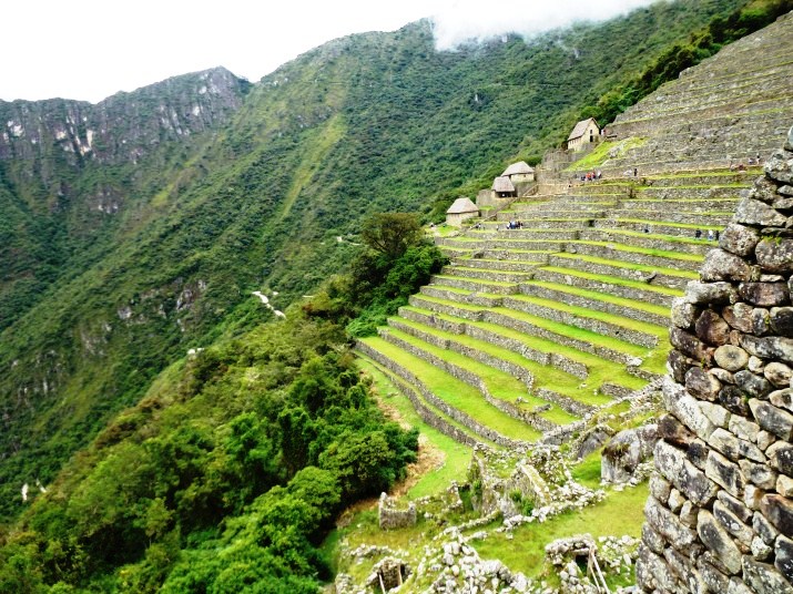 El Ciudadano | quechua archivos | El Ciudadano