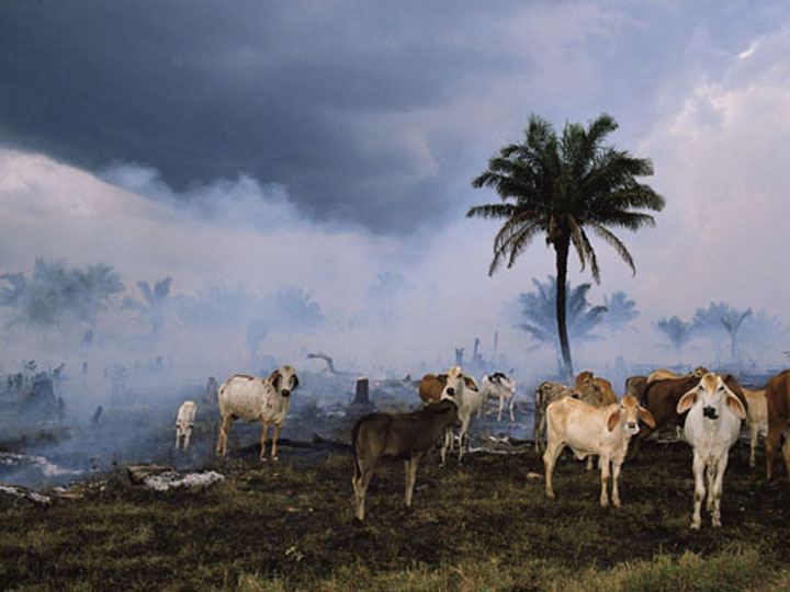 Las 10 zonas más contaminadas del mundo