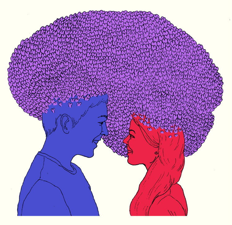 ¿qué Sucede En El Cerebro Cuando Nos Enamoramos