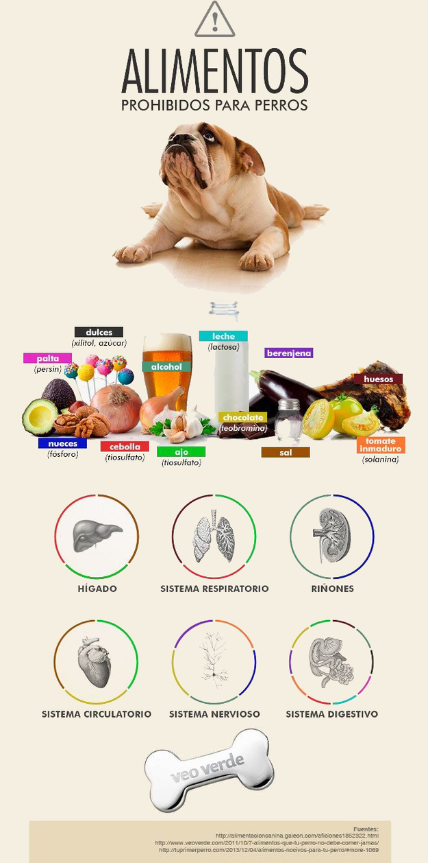 17 Datos gráficos que todo amante de los perros debe conocer