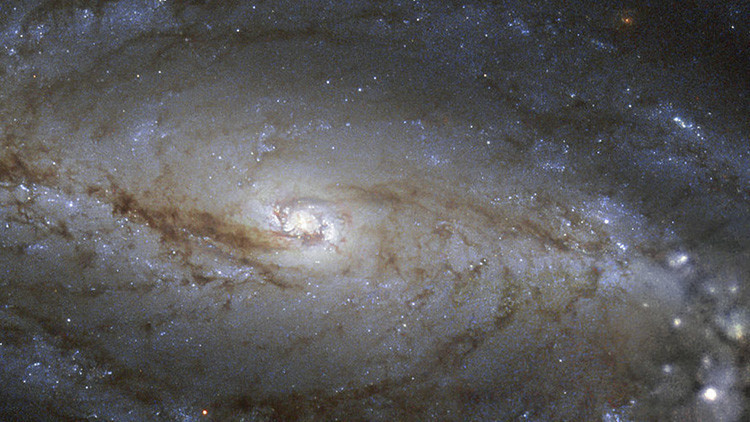 ¿Hay de verdad una megastructura de ingeniería alienígena orbitando esa ...