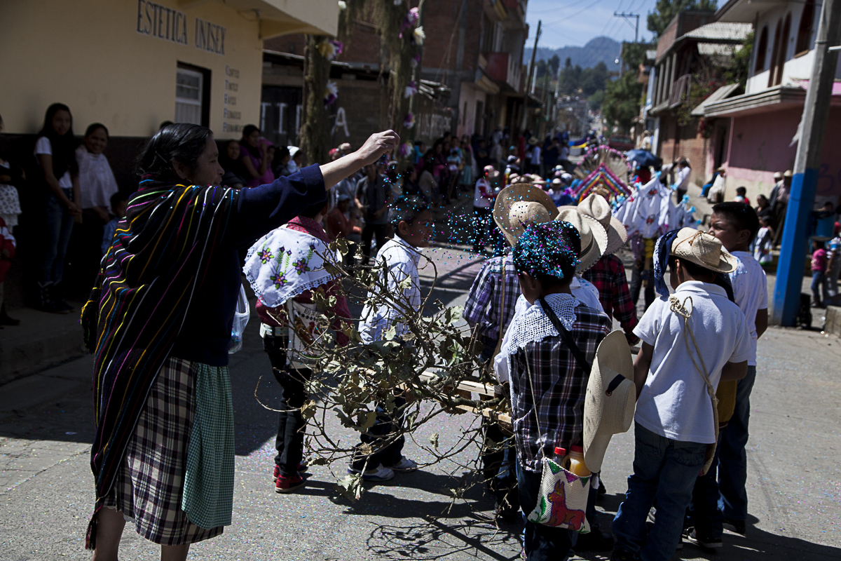 Cherán, cinco años defendiendo sus bosques