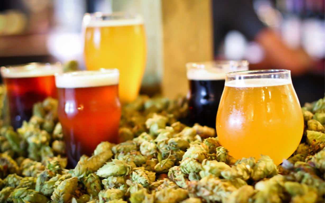 Como hacer cerveza artesanal en casa muy fácil