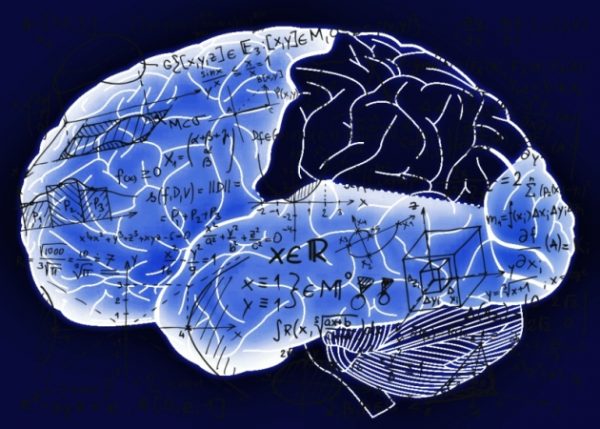 Registran zonas del cerebro que sólo se activan con las matemáticas de ...