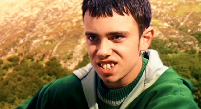 El sorprendente cambio del actor que interpretó a Marcus Flint en Harry ...