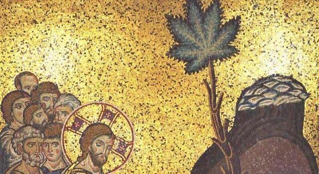 Investigadores descubren que Jesús sanó a personas enfermas con marihuana