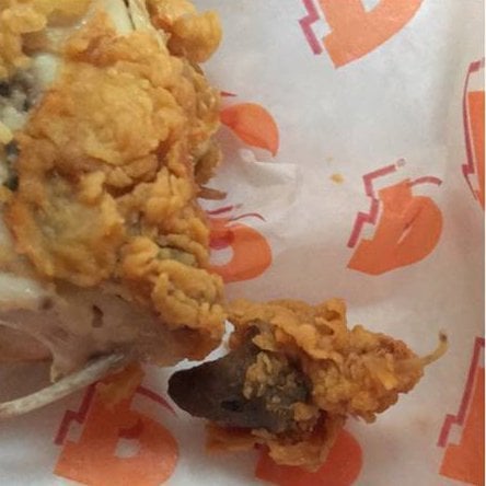 Mujer encontró una cabeza entera de ratón al pedir pollo frito en ...