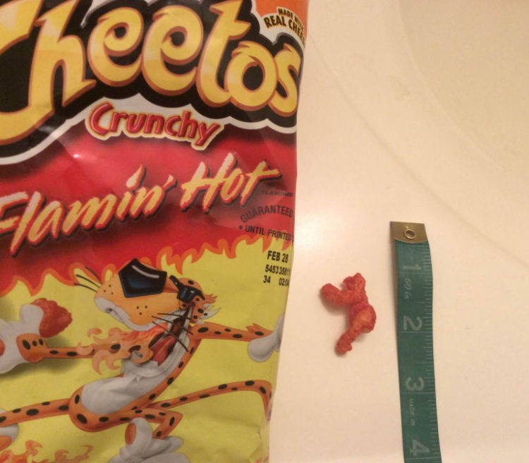 Subastaron este cheeto en 100 mil dólares por una muy absurda razón