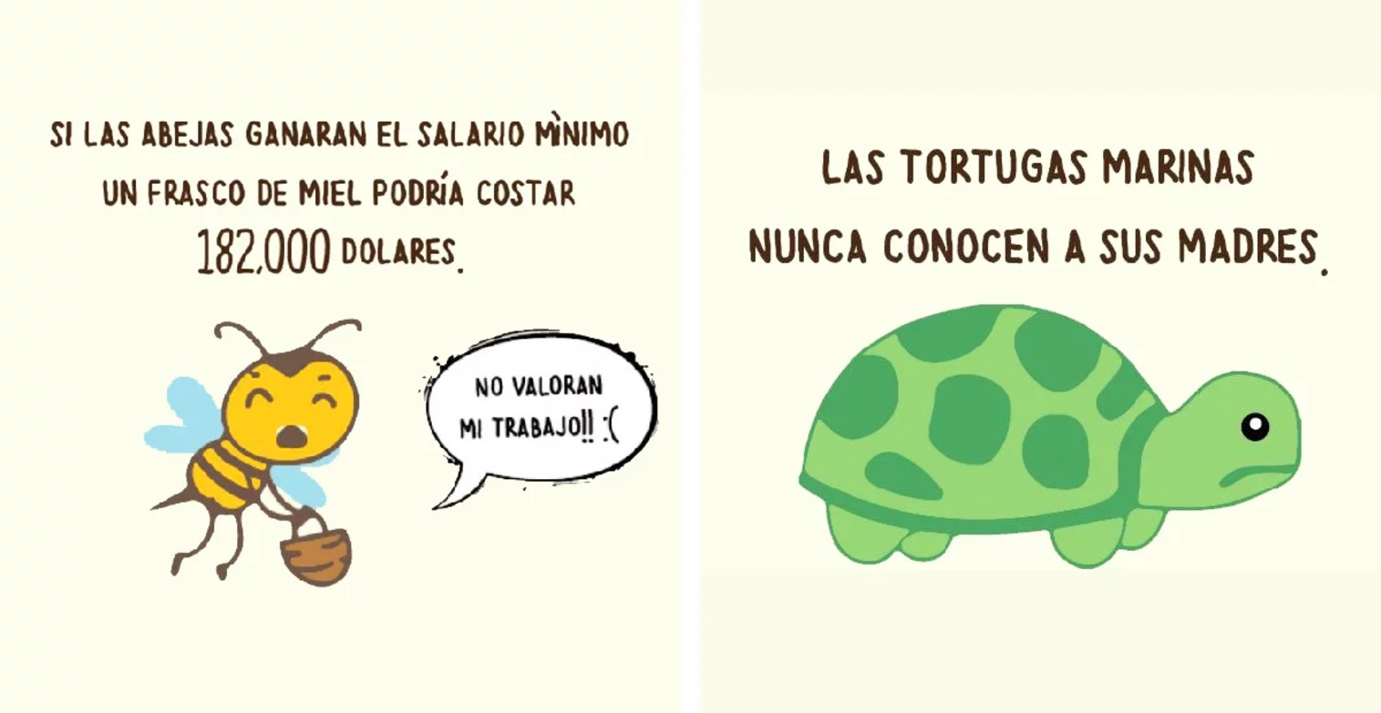 10 hechos muy curiosos sobre los animales que probablemente no conocías