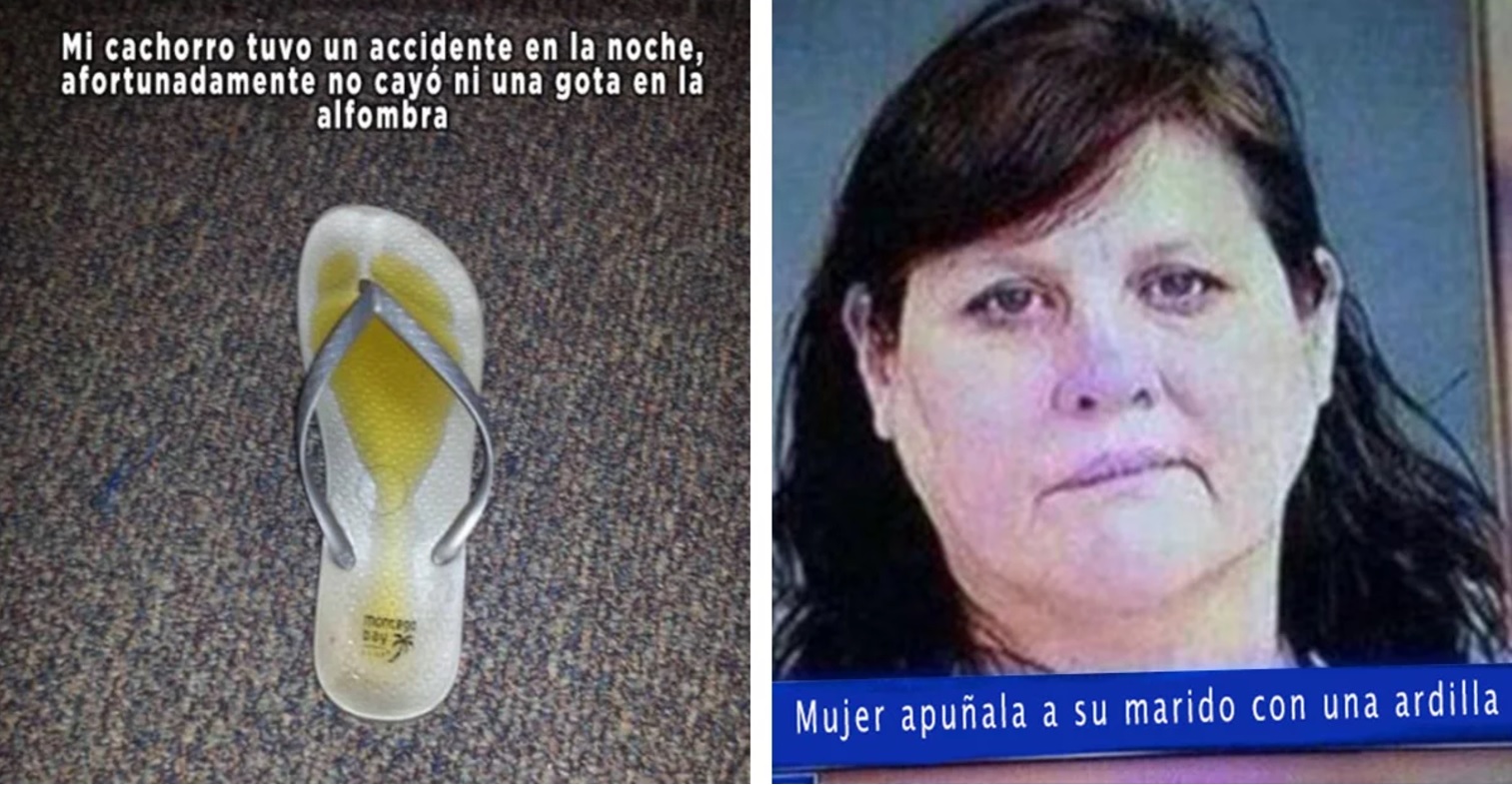 14 Personas que hicieron cosas realmente tontas, pero que terminaron ...