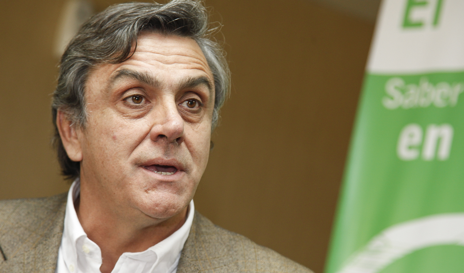 Formalizarán a Pablo Longueira por gestión en favor de SQM en nuevo ...