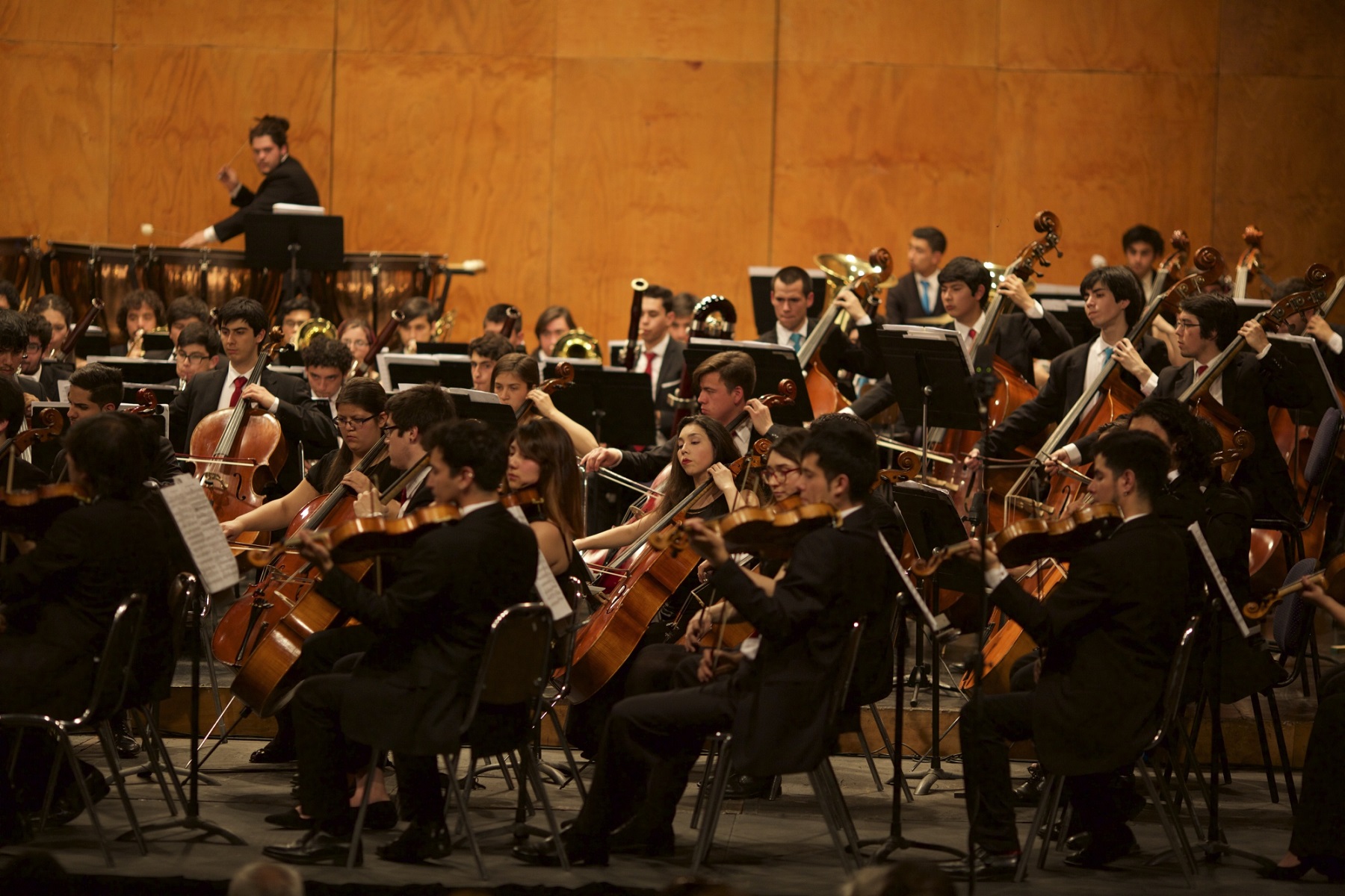 La Orquesta Sinfónica Nacional Juvenil (OSNJ) celebrará sus 25 años de ...