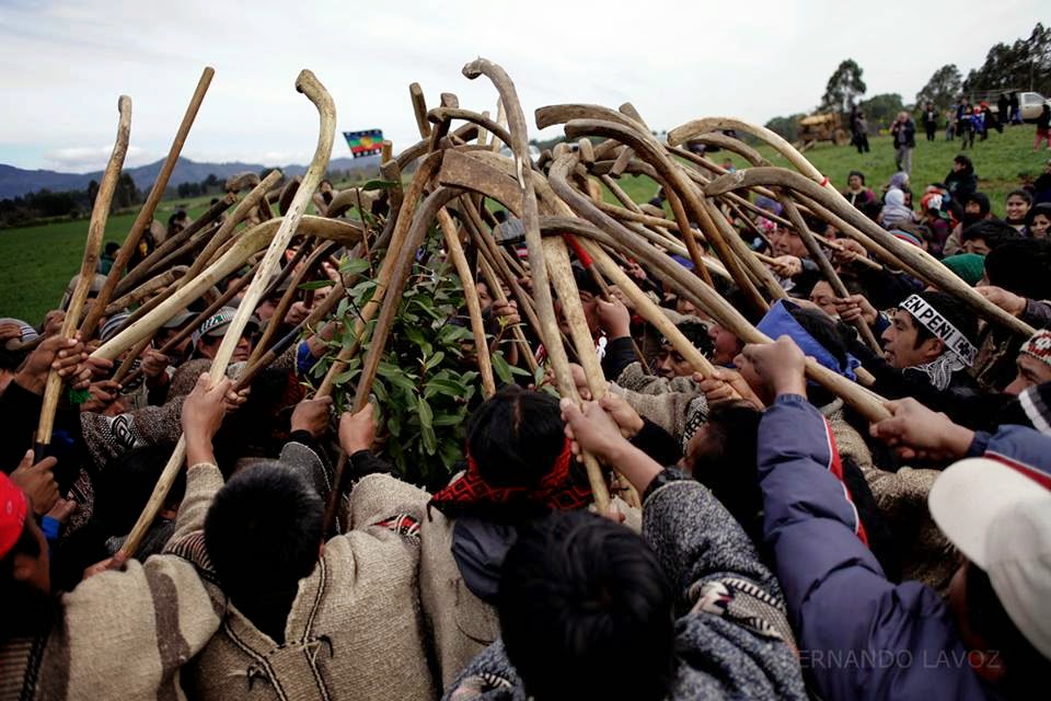 Comunidades Mapuche en resistencia archivos - El Ciudadano