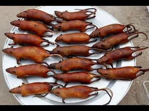 10 ratones asados por un dólar: la asquerosa tendencia culinaria de ...