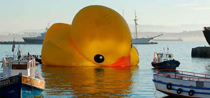 (Video) Pato de Hule vuelve a 'sacar la vuelta' y se desinfla en plena ...