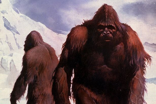 Se resuelve el misterio de los supuestos restos del "Yeti" encontrados ...