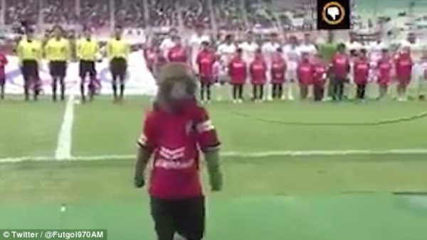 Clip | 'Mono futbolista' desata la furia de todos al estar encadenado ...