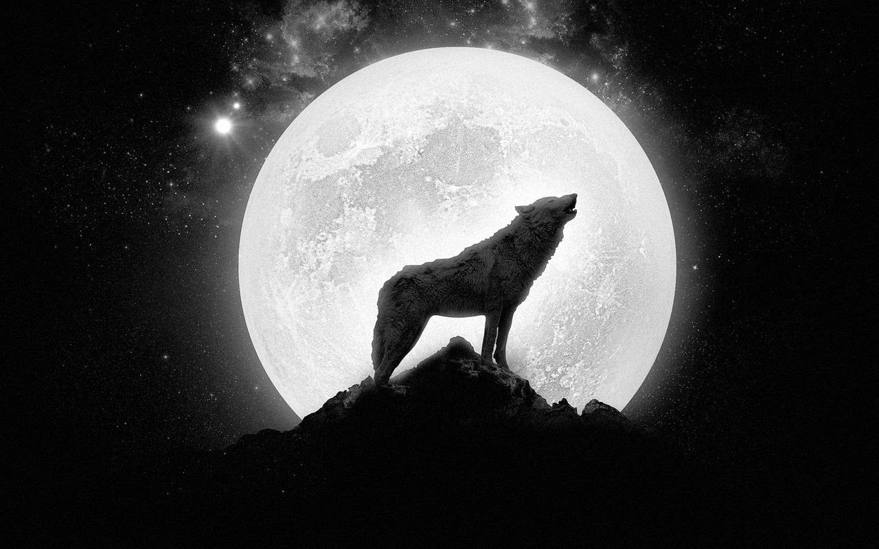 Esta semana vimos la "Super Luna del lobo", pero enero nos depara otro ...