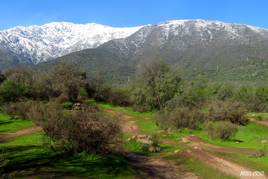 Ciudadanía y Universidad Diego Portales llegan al Tribunal Ambiental ...