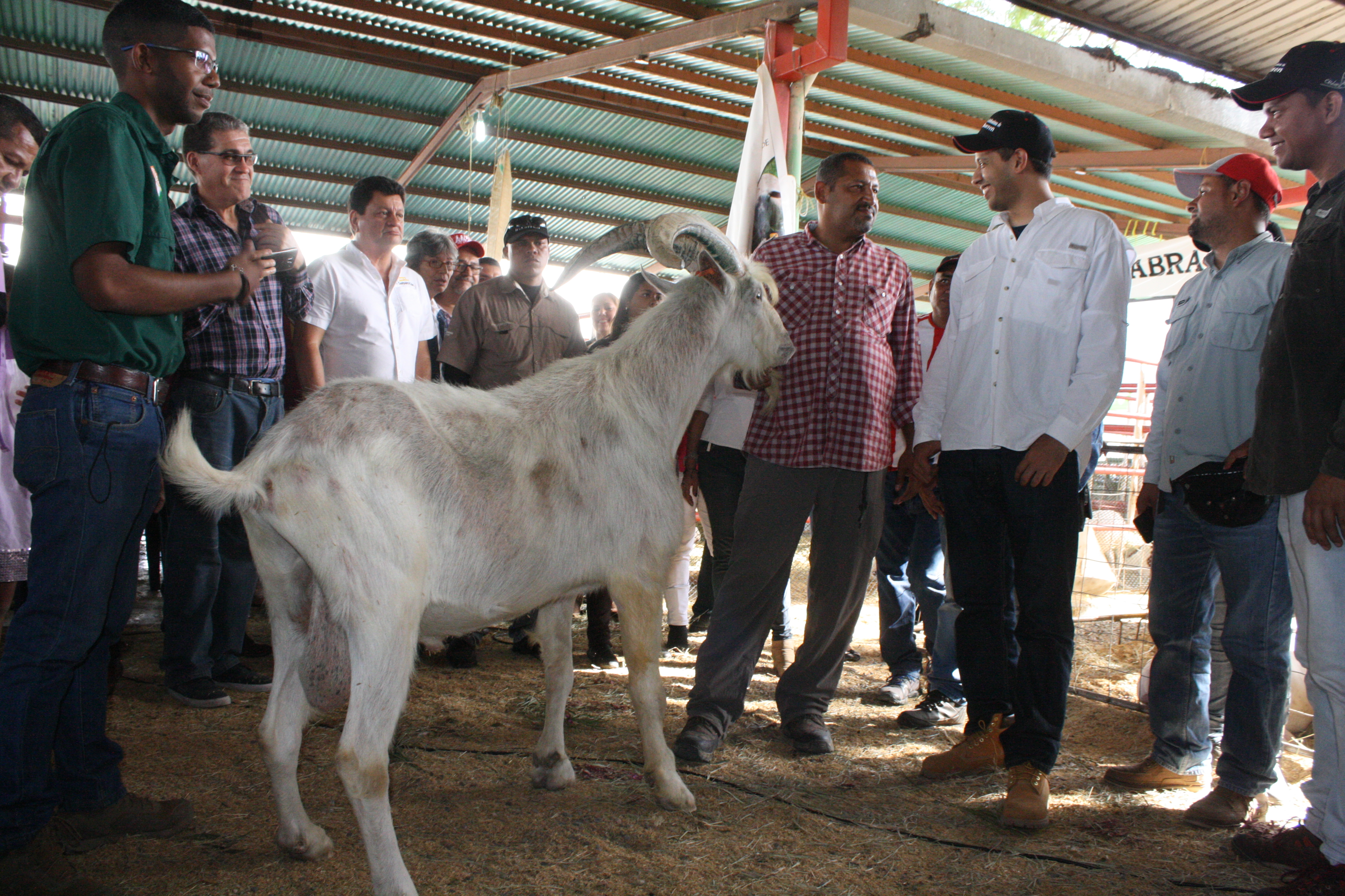 Venezuela examina exportar a Colombia y Perú productos derivados de la ...