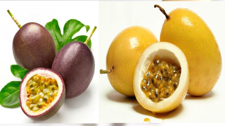 Conoce seis beneficios de la parchita o maracuyá