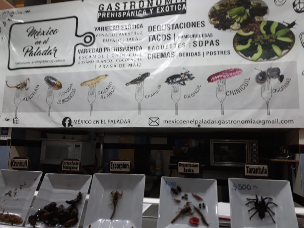 (Fotos) Restaurante mexicano ofrecía tacos de tarántulas en peligro de ...