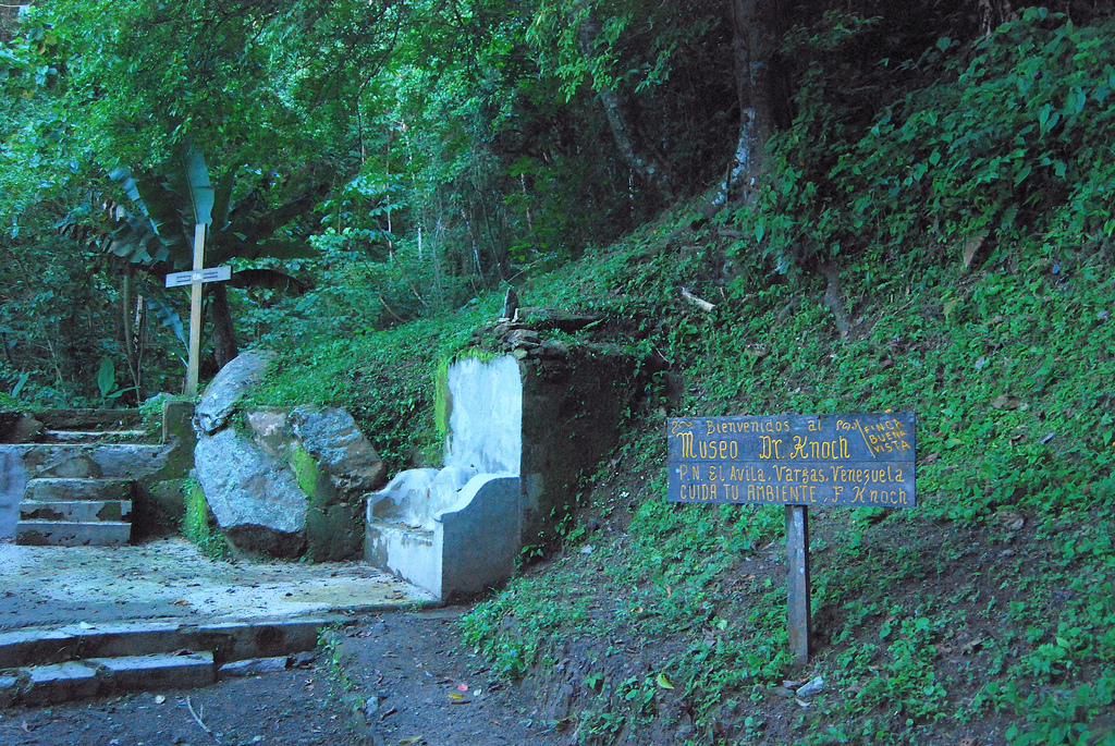 Gottfried Knoche: La leyenda del médico alemán que inventó ...