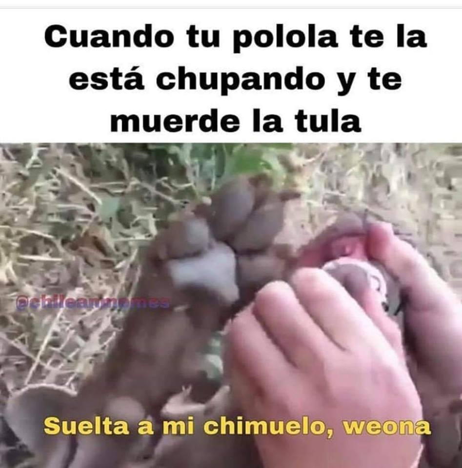 (+Video+Memes) Primer viral de 2019: Usuarios enloquecen y desbordan ...