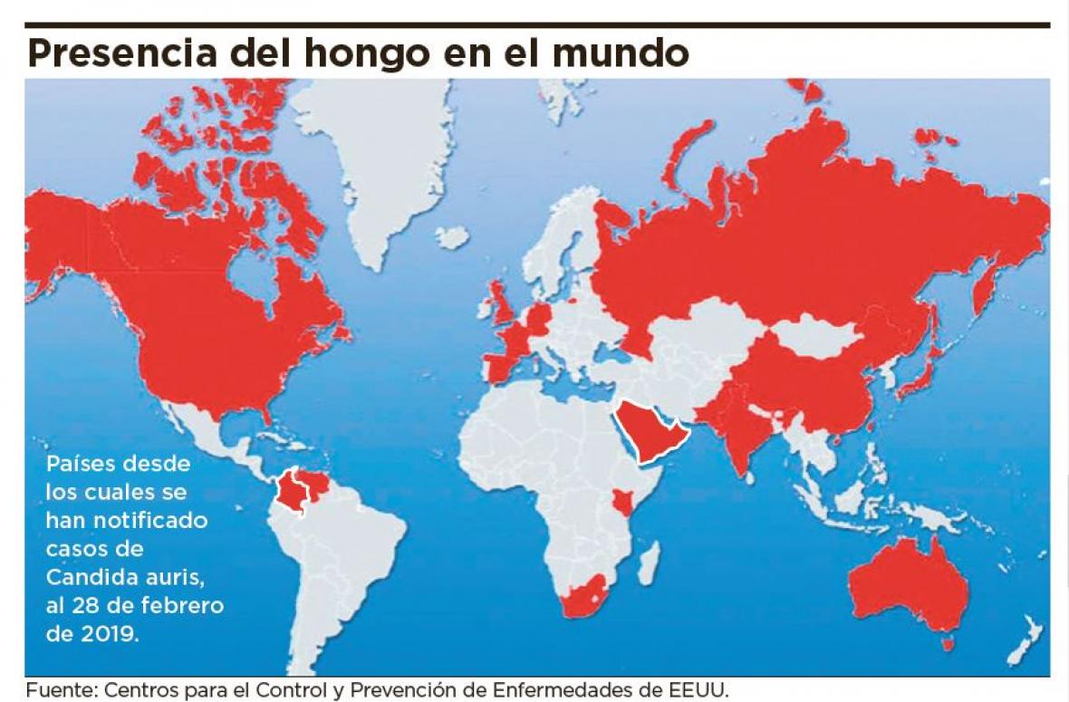 Candida auris: el mapa que muestra la rápida expansión de la infección ...