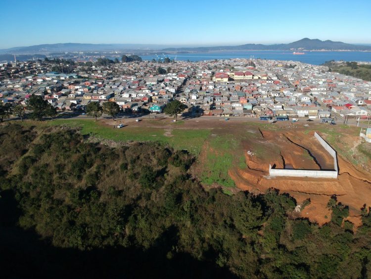 Talcahuano: ONG denuncia tala ilegal de árboles en zonas de protección ...