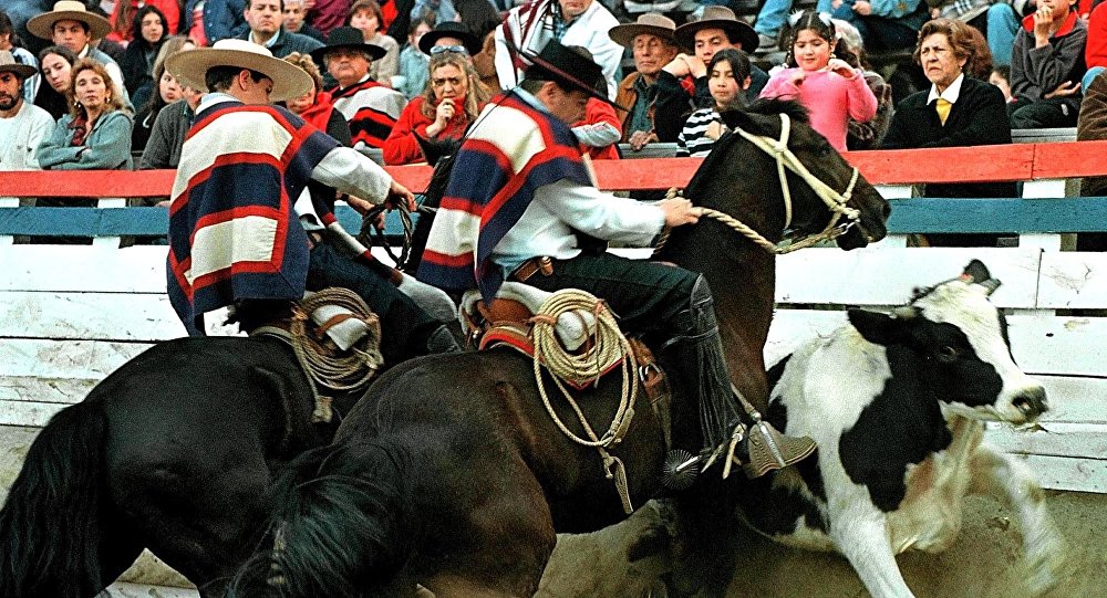 Ciudadanos indignados por maltrato animal rechazan decisión de la ...