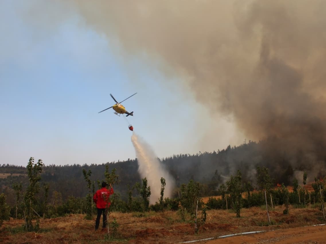 Incendios Forestales En Quillón Decretan Emergencia Agrícola Para La