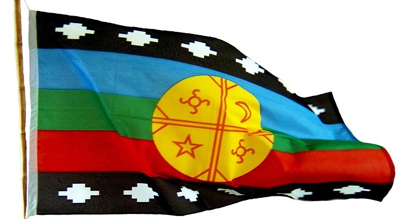 Historia de la wenufoye del Wallmapu: La bandera mapuche que flamea en ...