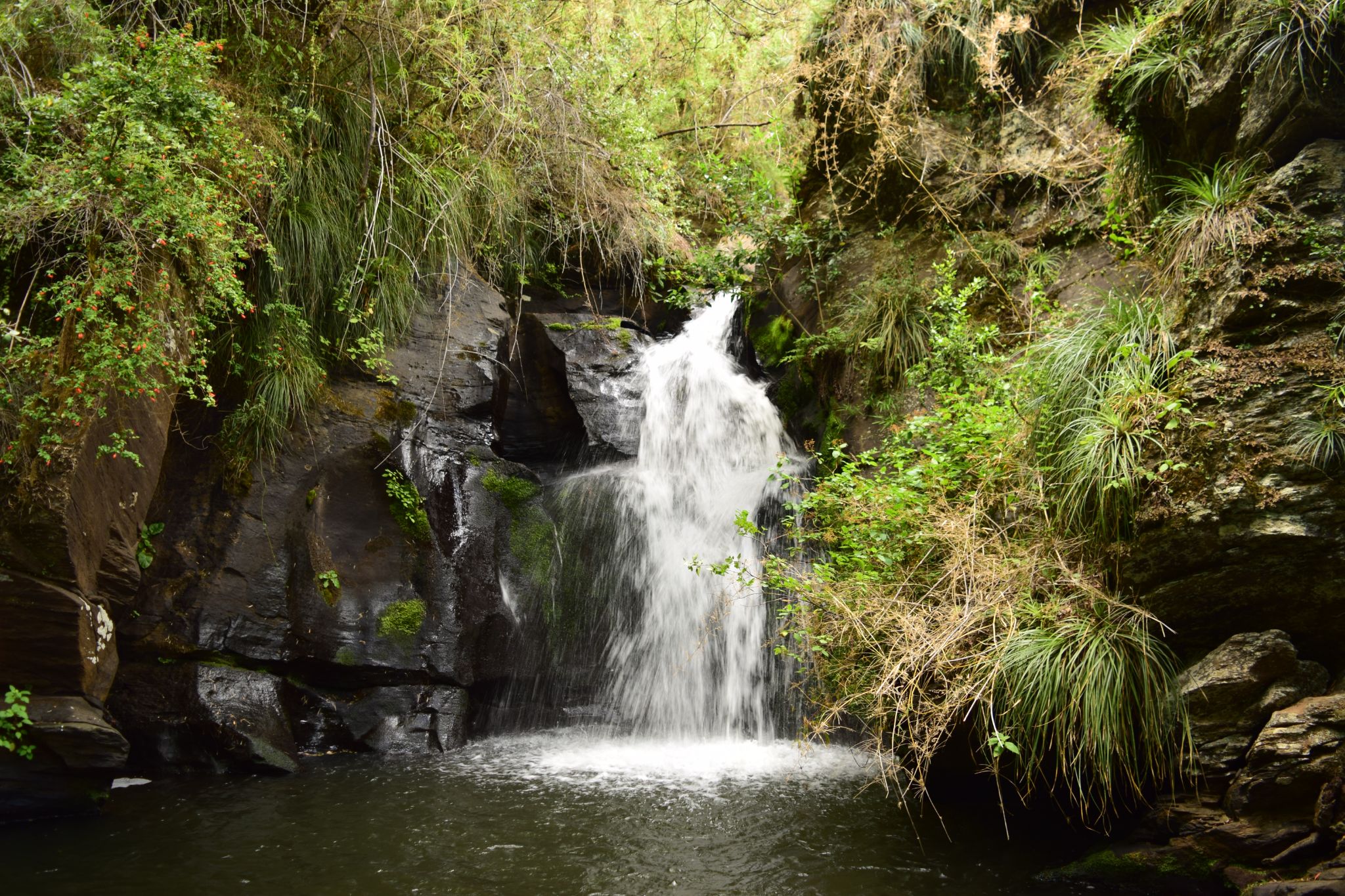 Familias mapuche denuncian que proyecto de regadío secará el salto Klen ...