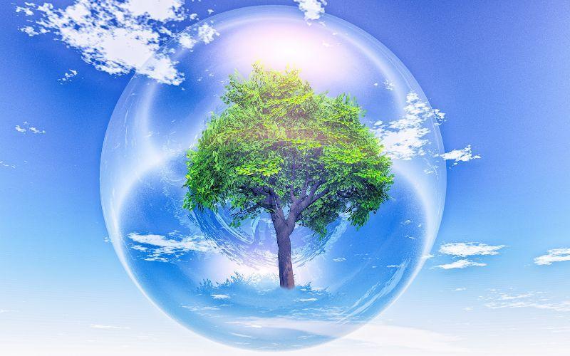 La biosfera es imprescindible para la vida humana