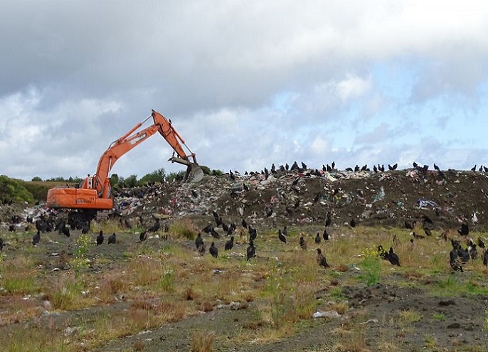 Crisis de la basura en Chiloé cada vez peor: cargos graves por vertederos de Ancud y Quellón