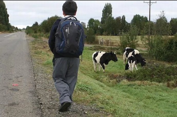 La difícil realidad de la educación rural en Chile: Mil docentes ...