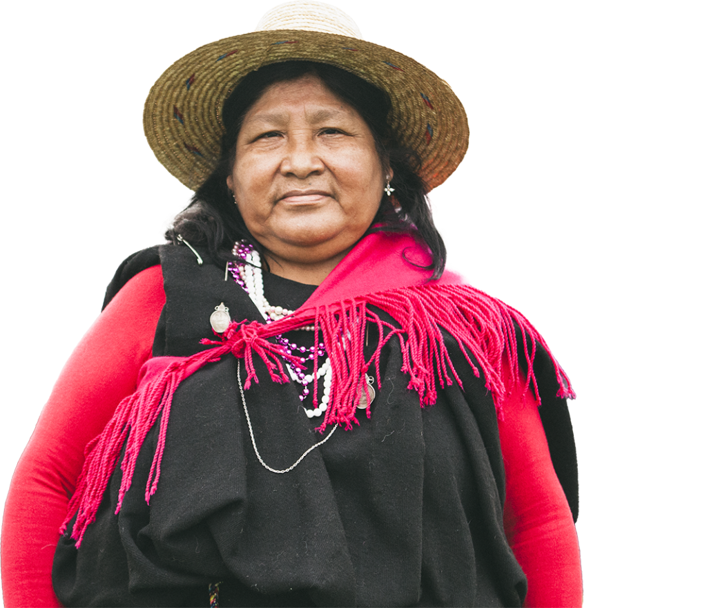 Conoce a Rosa Quispe Huanca, la embajadora de la música Aymara que ...