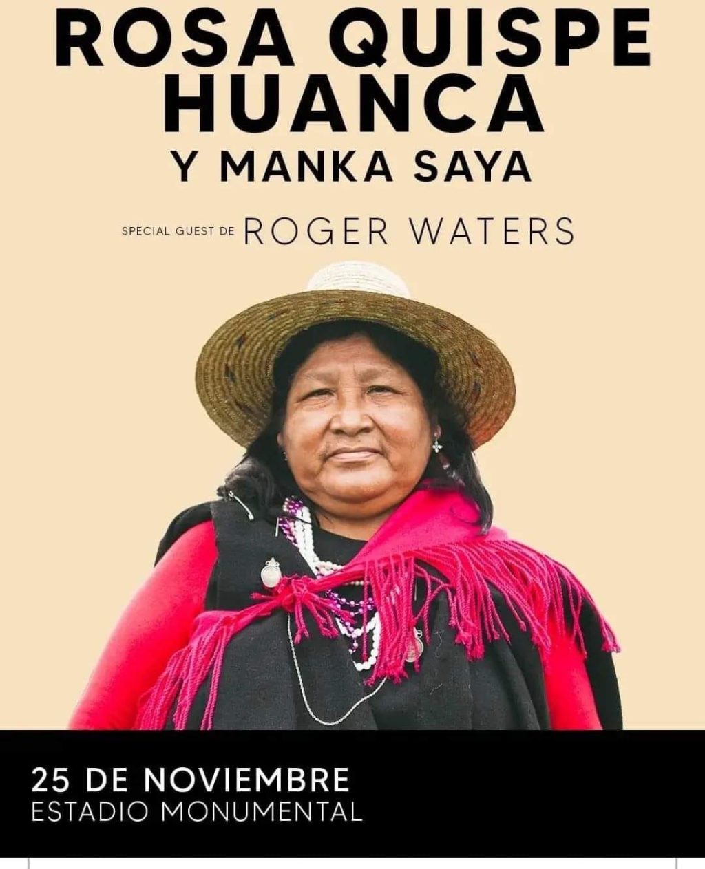 Conoce a Rosa Quispe Huanca, la embajadora de la música Aymara que ...
