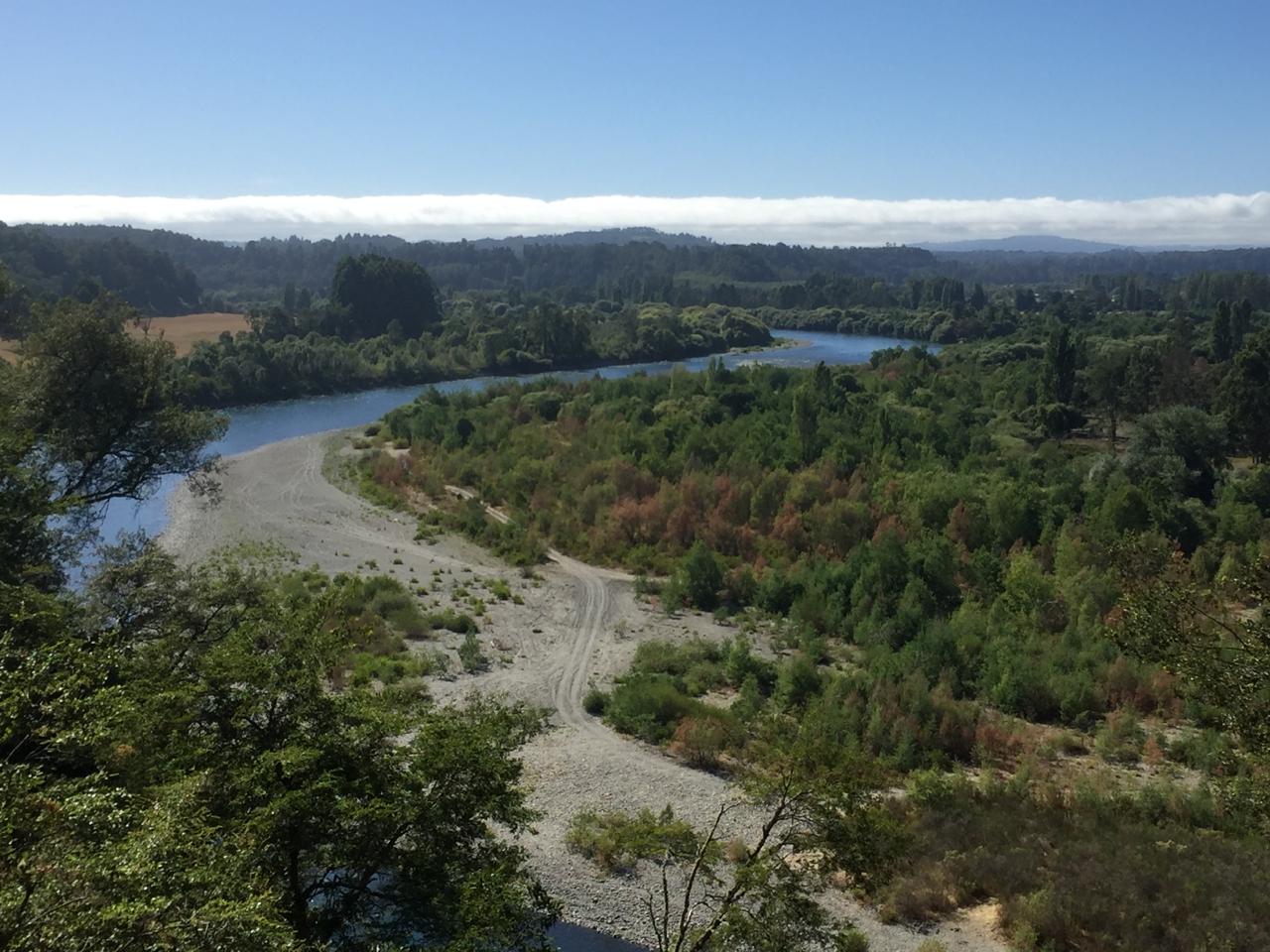 Comuna de Los Lagos: Nueva zona de sacrificio en el sur de Chile